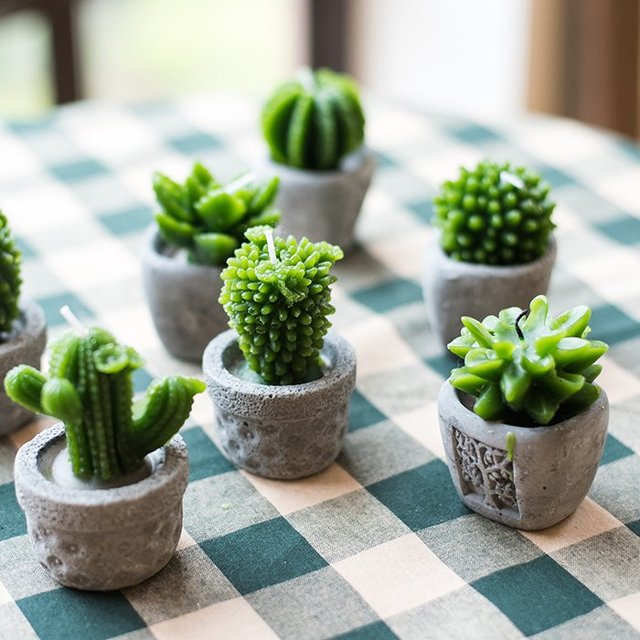 Tips to Make Your Faux Succulents Look Amazingly Real – WAYSAVING