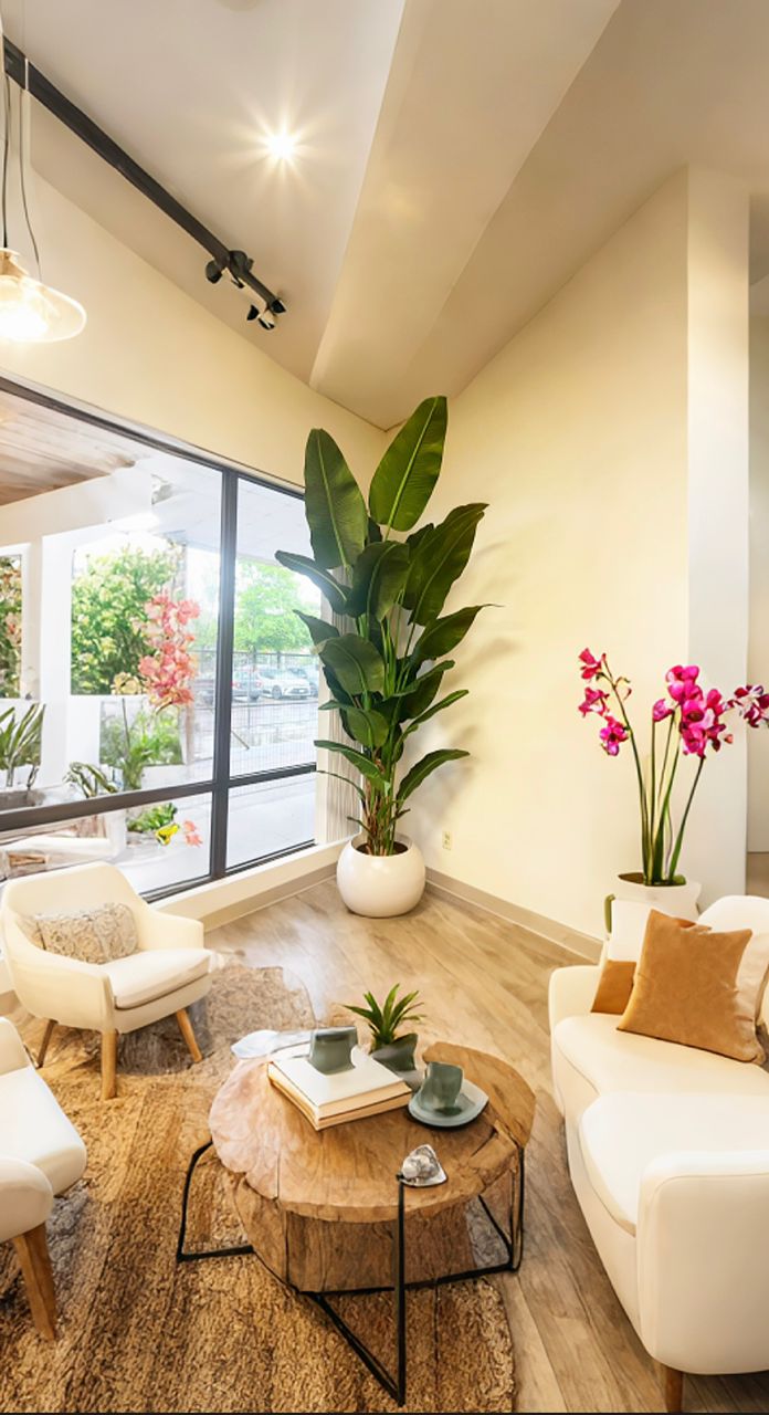 Transform Your Space: Best Spots for Fake Plants in Every Room – WAYSAVING